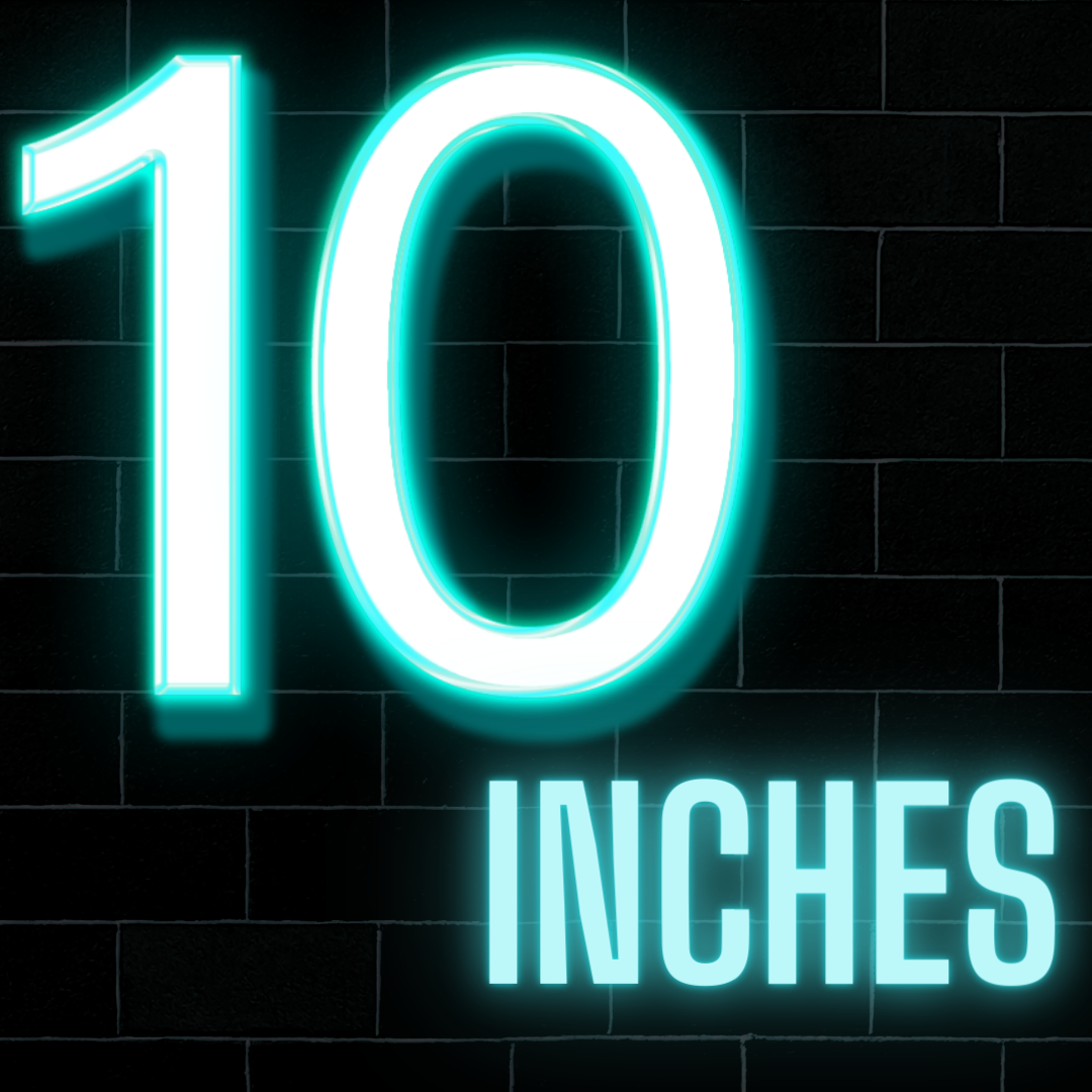 Pleaser Exotic 10" Heels – The Sultry Vixen