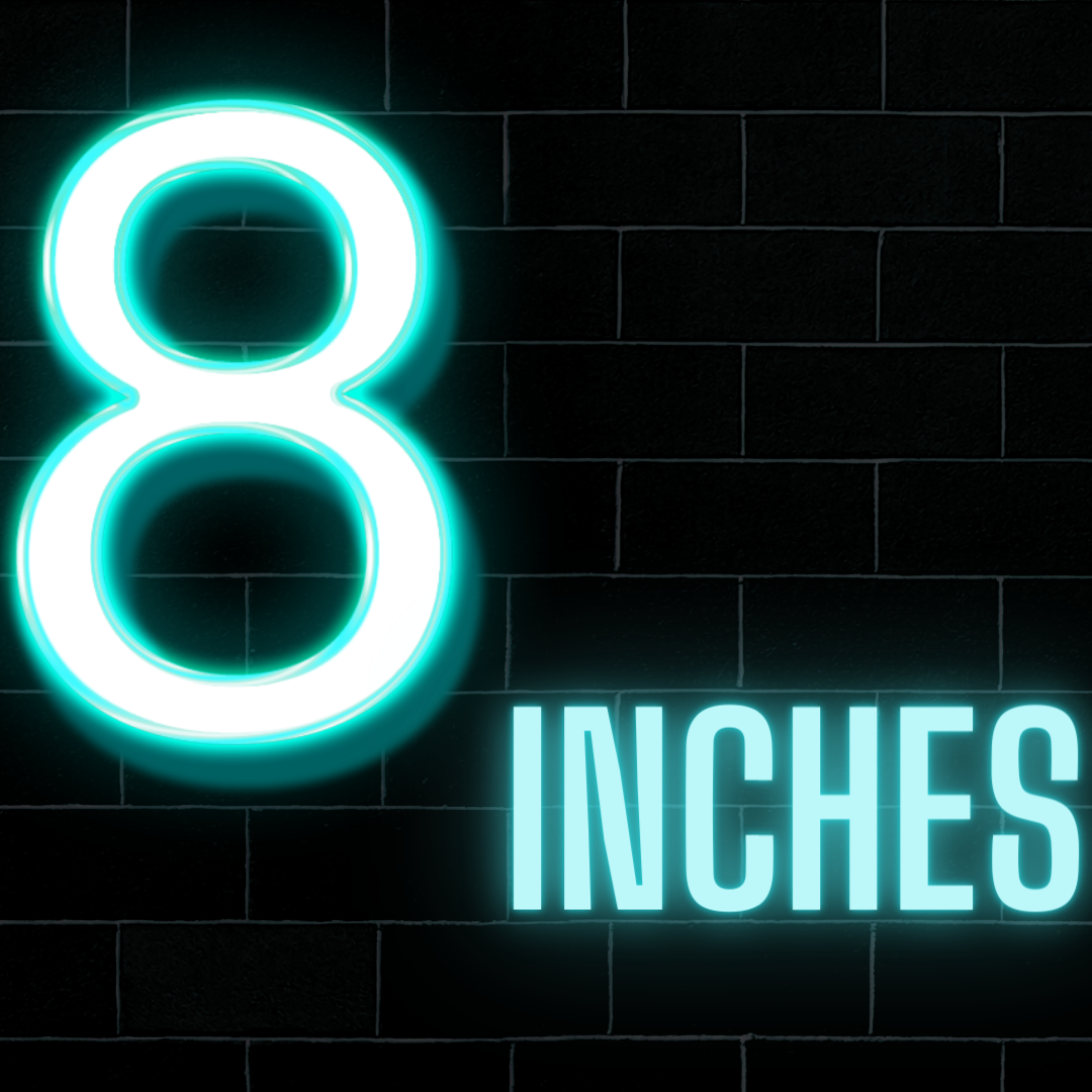 Pleaser Exotic 8" Heels – The Sultry Vixen